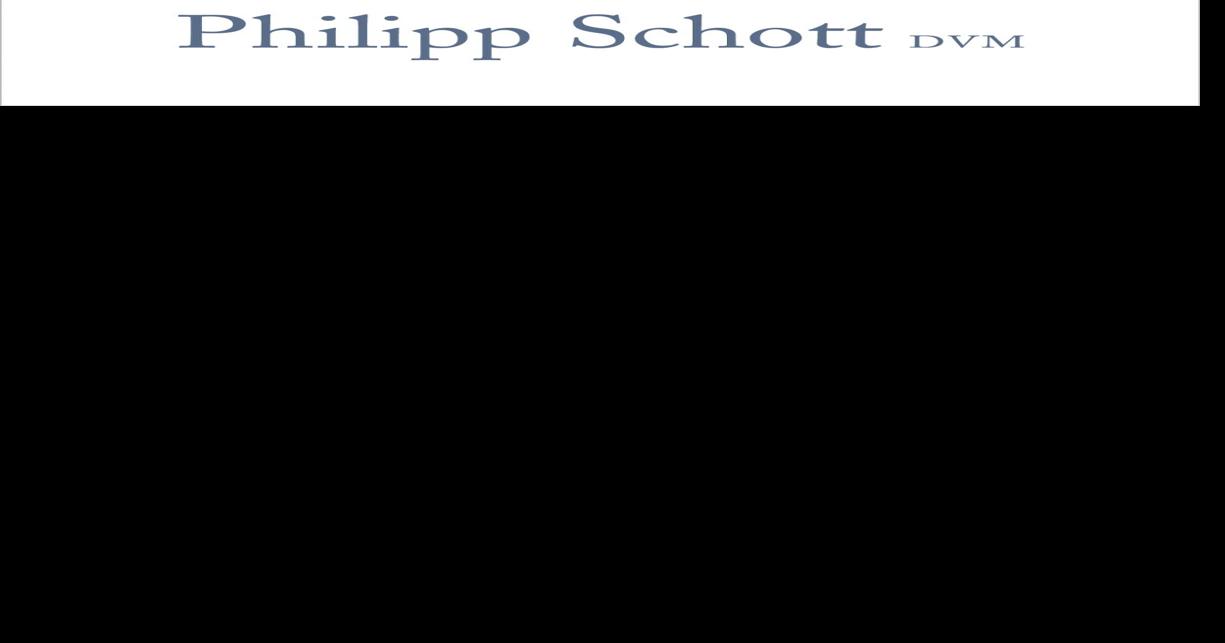 Veterinarian shares pet care tales in 'The Battle Cry of the Siamese Kitten' | Kicks ...