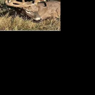 Nicholas Michael Larsen | Obituaries | gazettextra.com