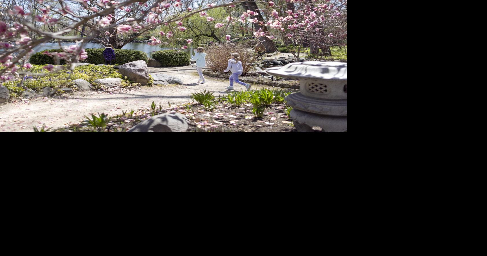 Rotary Botanical Gardens to host StoryWalk featuring NYT bestseller ...