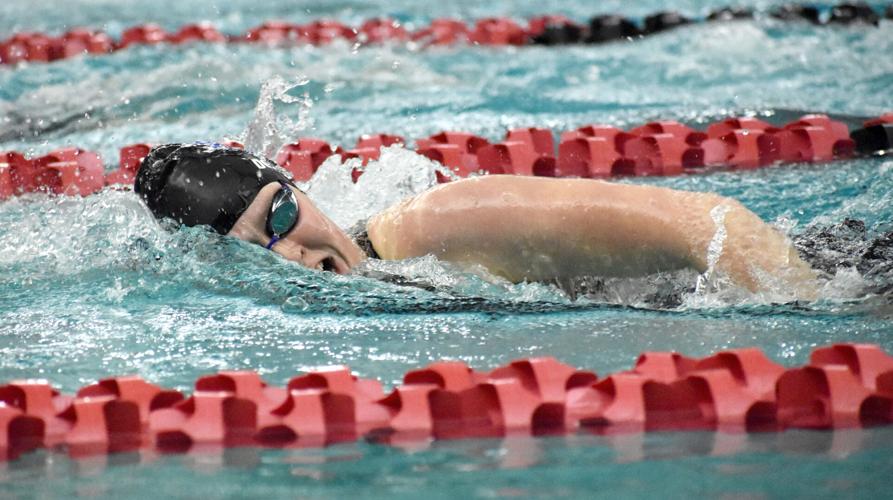 Donagan, Reece swim one final time for Janesville Craig at WIAA state ...