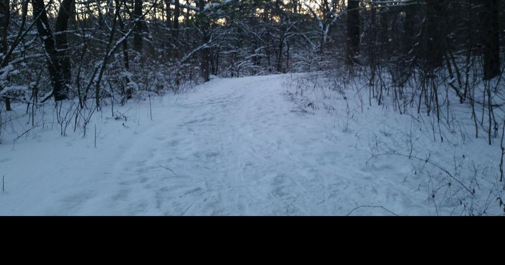 Weekly Walk: Cold trails reveal a quiet beauty | Archives | gazettextra.com