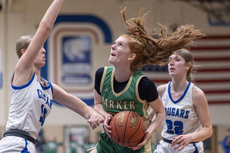 Girls' High School Basketball: Janesville Craig stays hot with win over ...