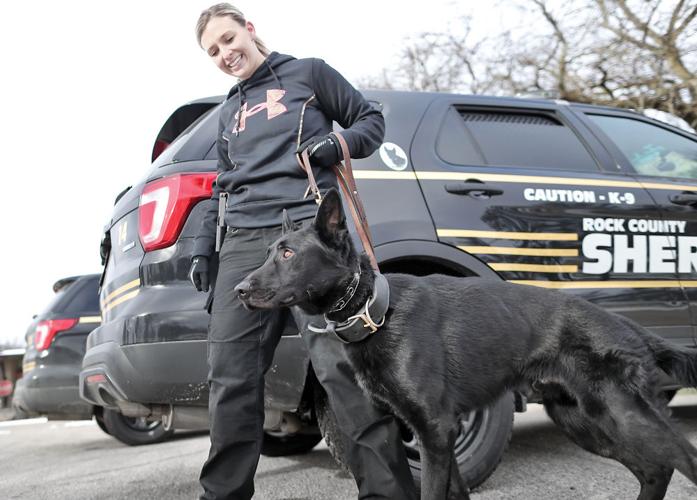 Rock County Sheriff's Office adds two new police dogs | Archives ...