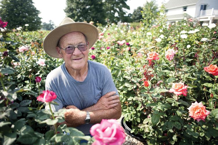 Metaphor for life: Stop and smell the roses, really | Archives ...