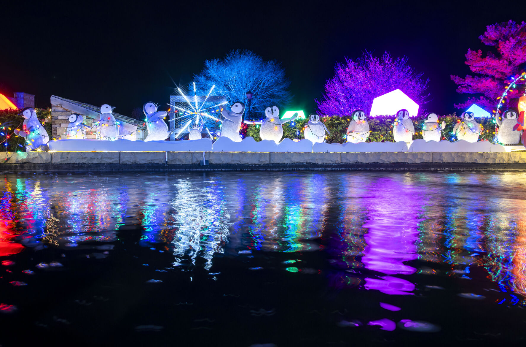 Photo gallery: Rotary Botanical Gardens Holiday Light Show | Local News ...