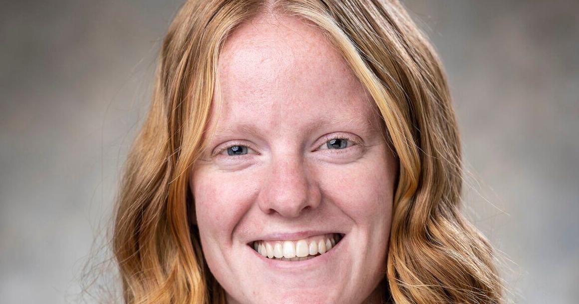 Former state Rep. Ellen Schutt to seek Nass' state Senate seat | Local ...