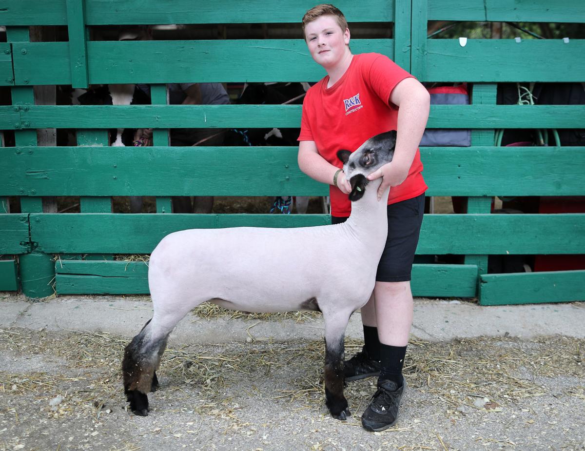 Evansville teen wins market lamb show | Rock County 4-H Fair ...