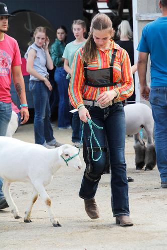 Fun for all. Games, rides, snow cones color Rock County 4-H Fair ...