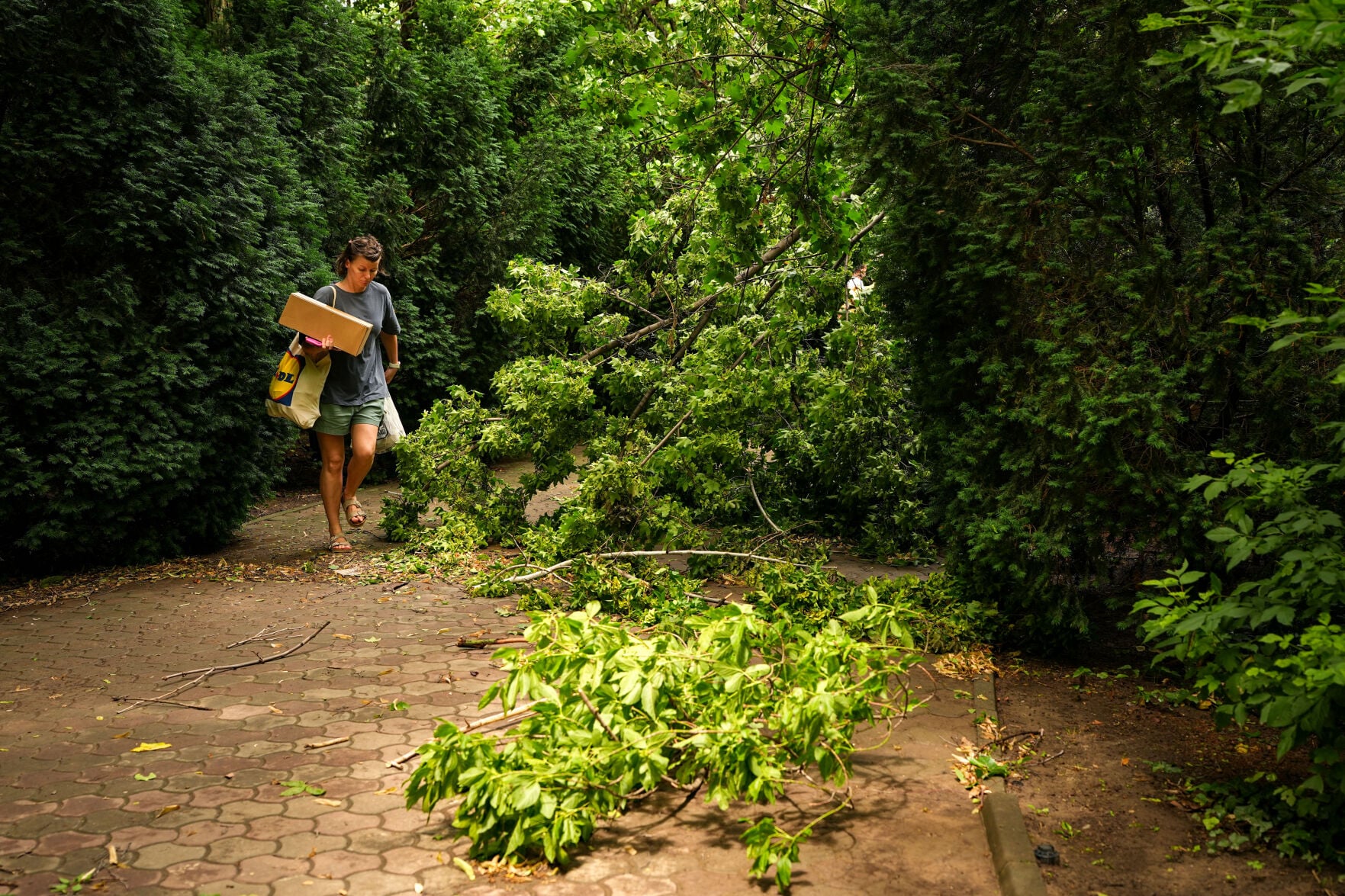 Romania Extreme Weather Storm | Nation/World | gazettextra.com