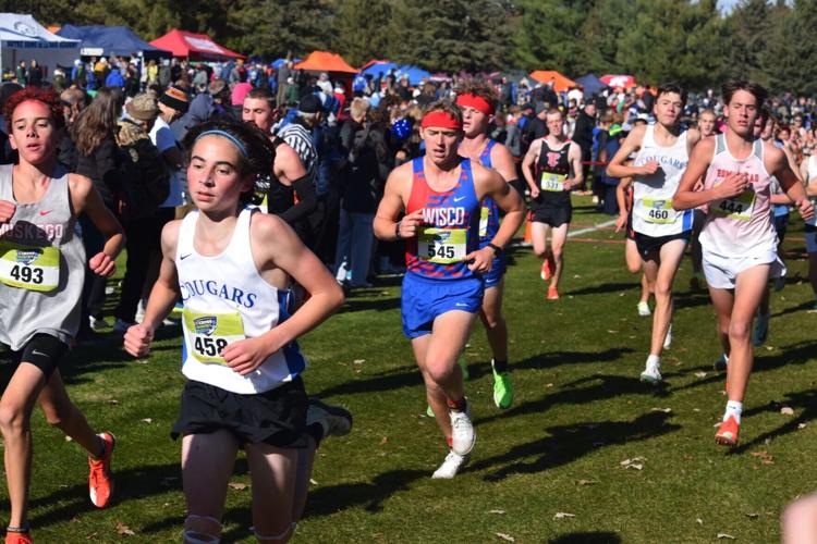 Cross Country: Janesville Craig, local runners compete in WIAA cross ...