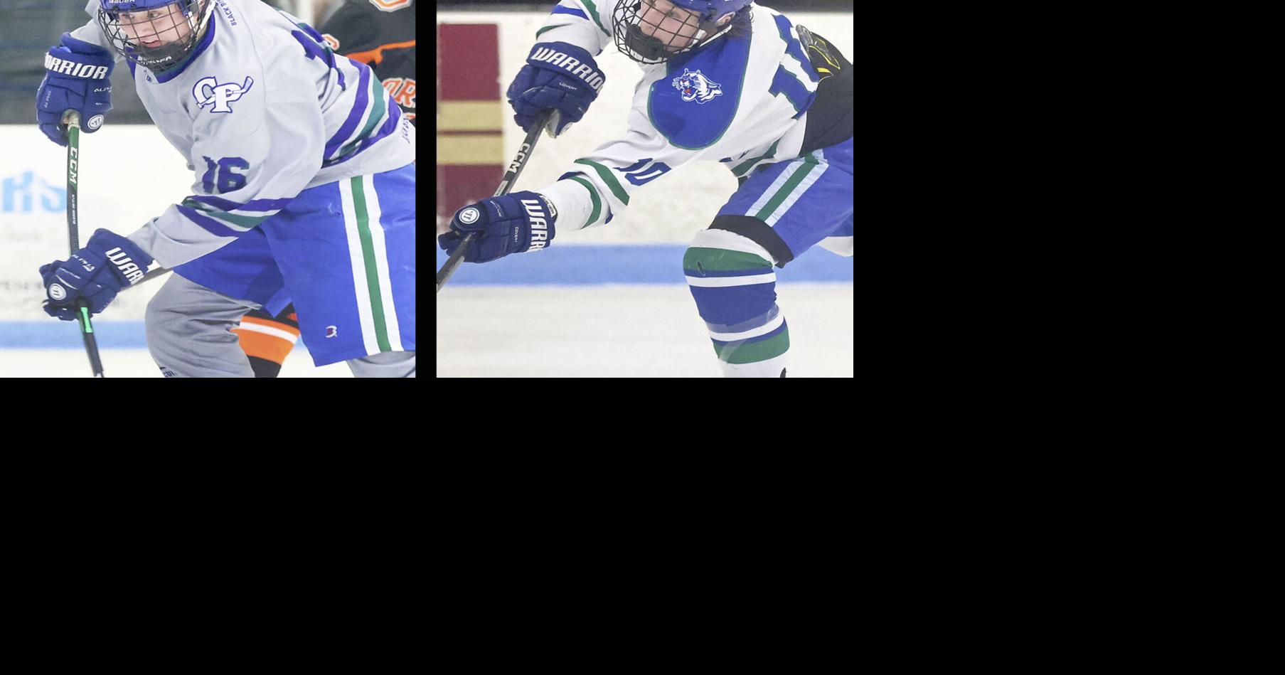 Janesville's Schaffner, Steuck named first-team all-state by Wisconsin ...