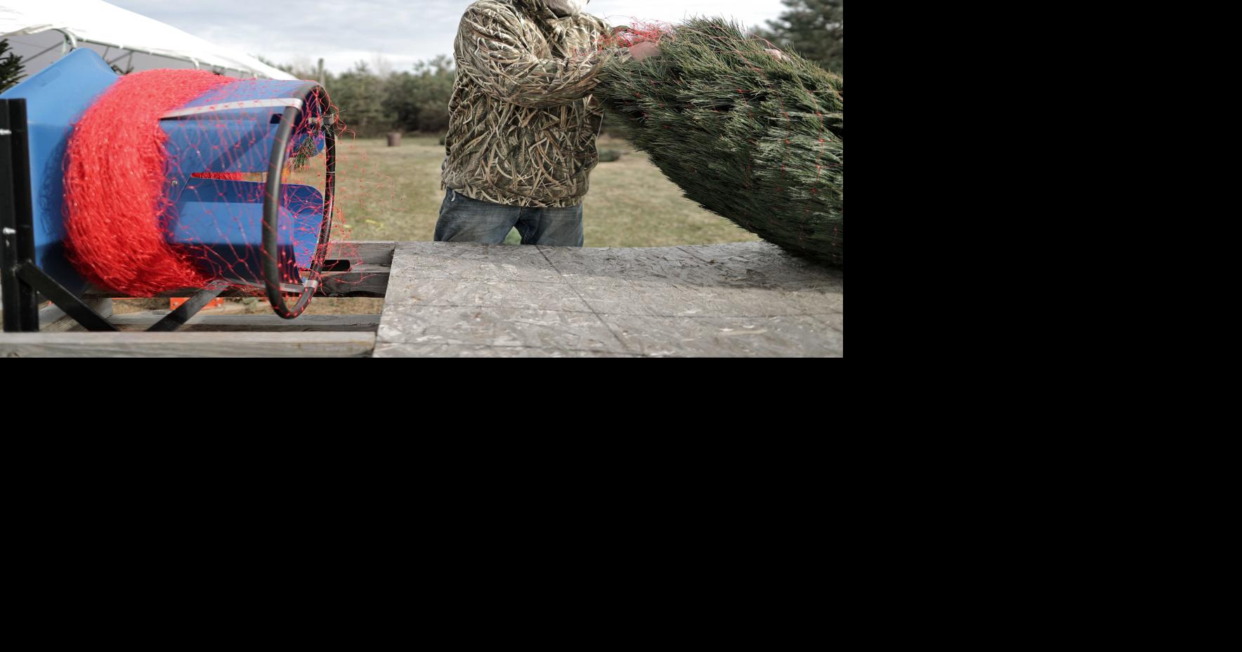 Revived Brodhead tree farm exudes hometown holiday feeling | Local News ...