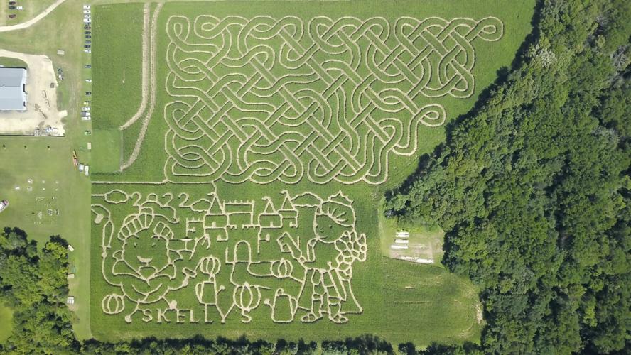 Skelly's Farm Market unveiling annual corn maze with Humane Society of ...