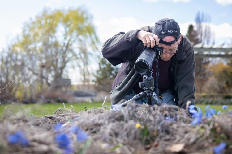 Spring shot | Local News | gazettextra.com