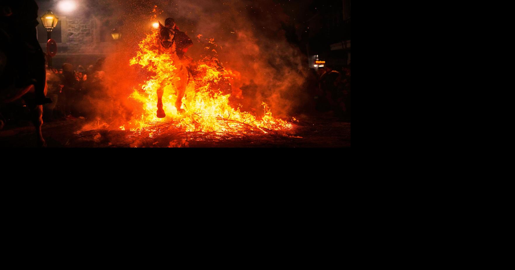 Spain Saint Anthony Animals | Nation/World | gazettextra.com