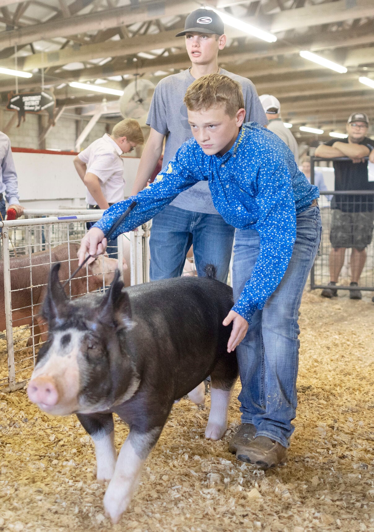 'Stars, Stripes and Fair Delights.' Walworth County Fair starts ...