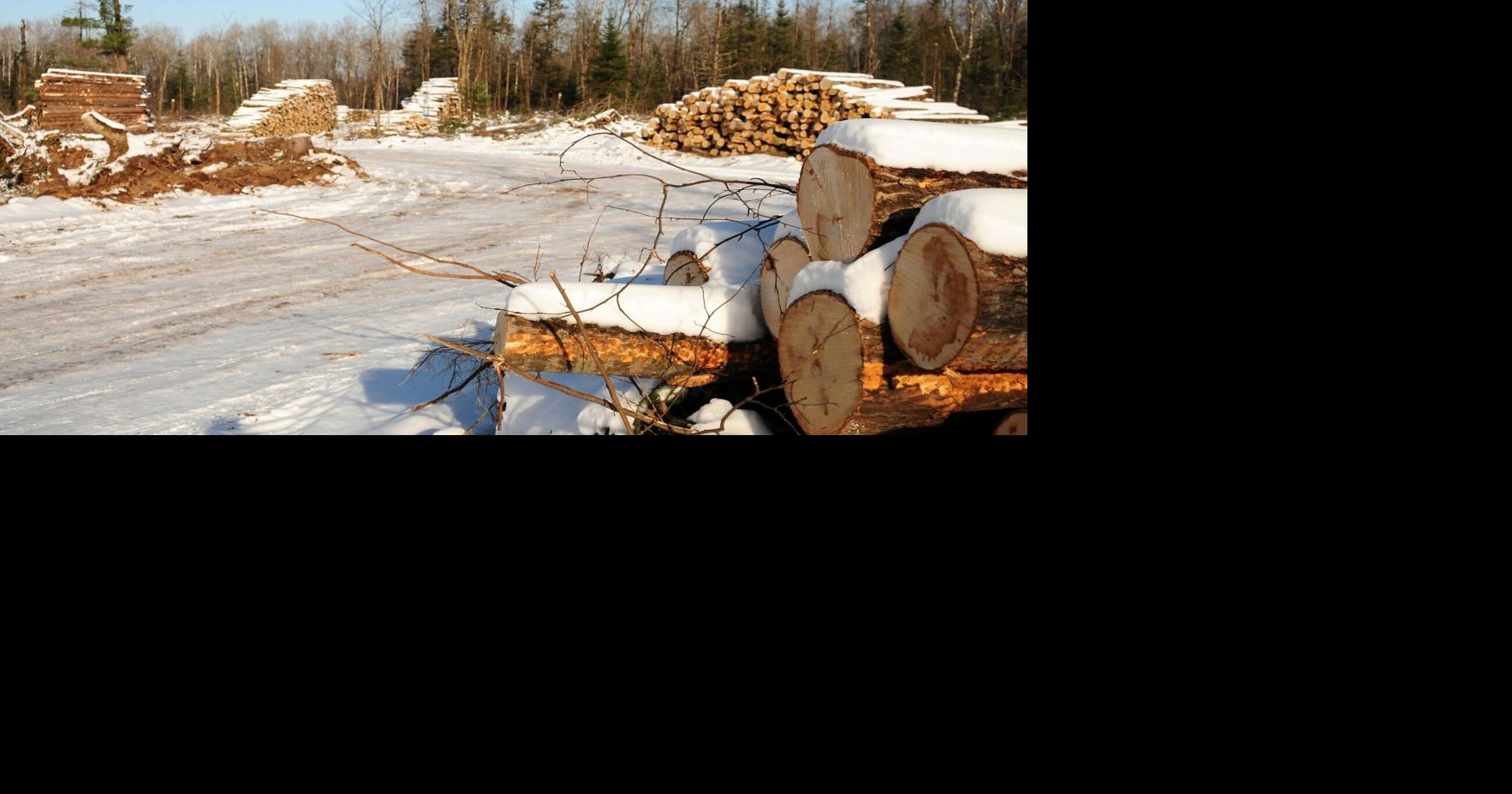 Durkin: Federal job cuts could derail conservation’s many gains | APG ...