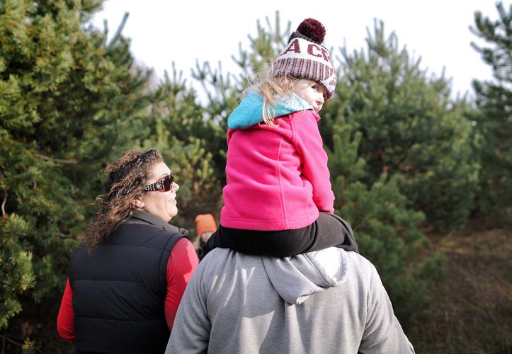 Revived Brodhead tree farm exudes hometown holiday feeling | Local News ...