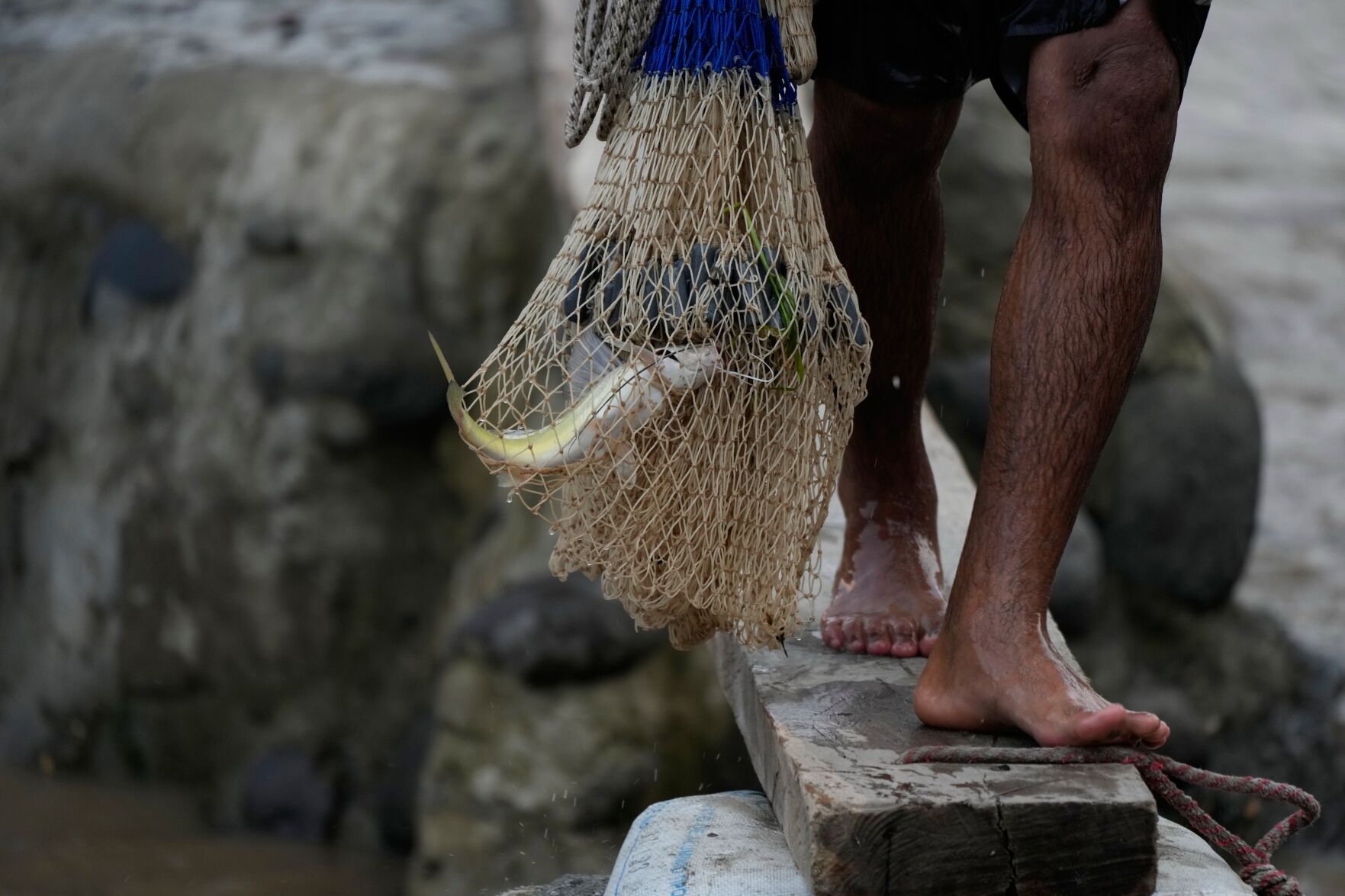 Colombia Fishing | | gazettextra.com