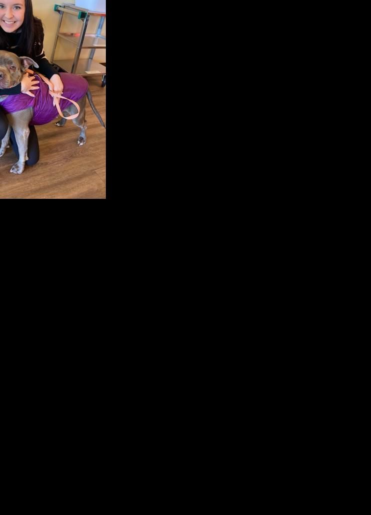 Trivia time: On mellow weeknights, bars turn to quiz events | Local ...