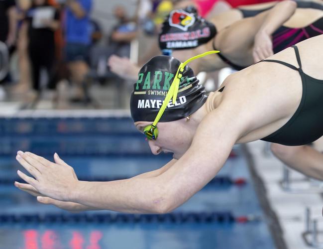 Mayfield and Schultz set to compete at state | Sports | gazettextra.com