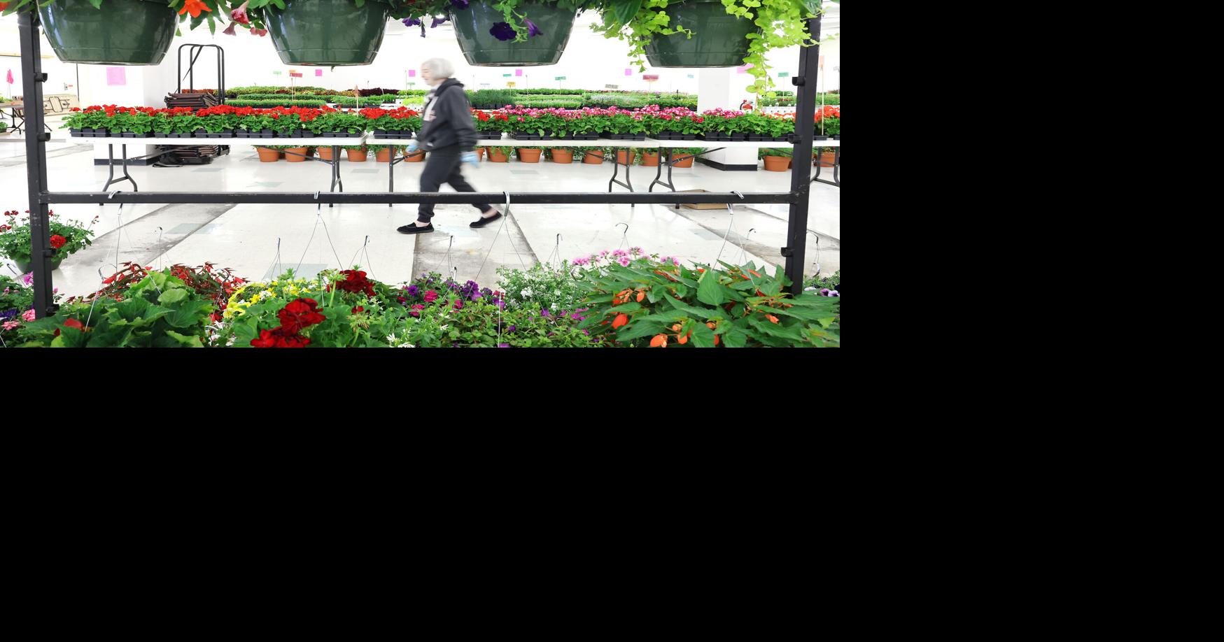 Fresh flowers for sale at Creston Park Mall | Uploaded Photos ...