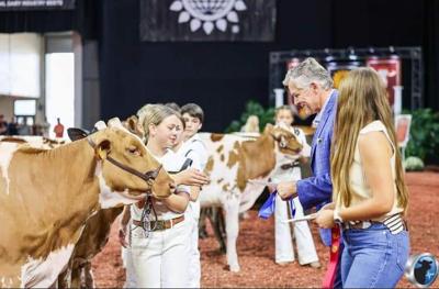 Rock County residents take honors at World Dairy Expo | Local News ...