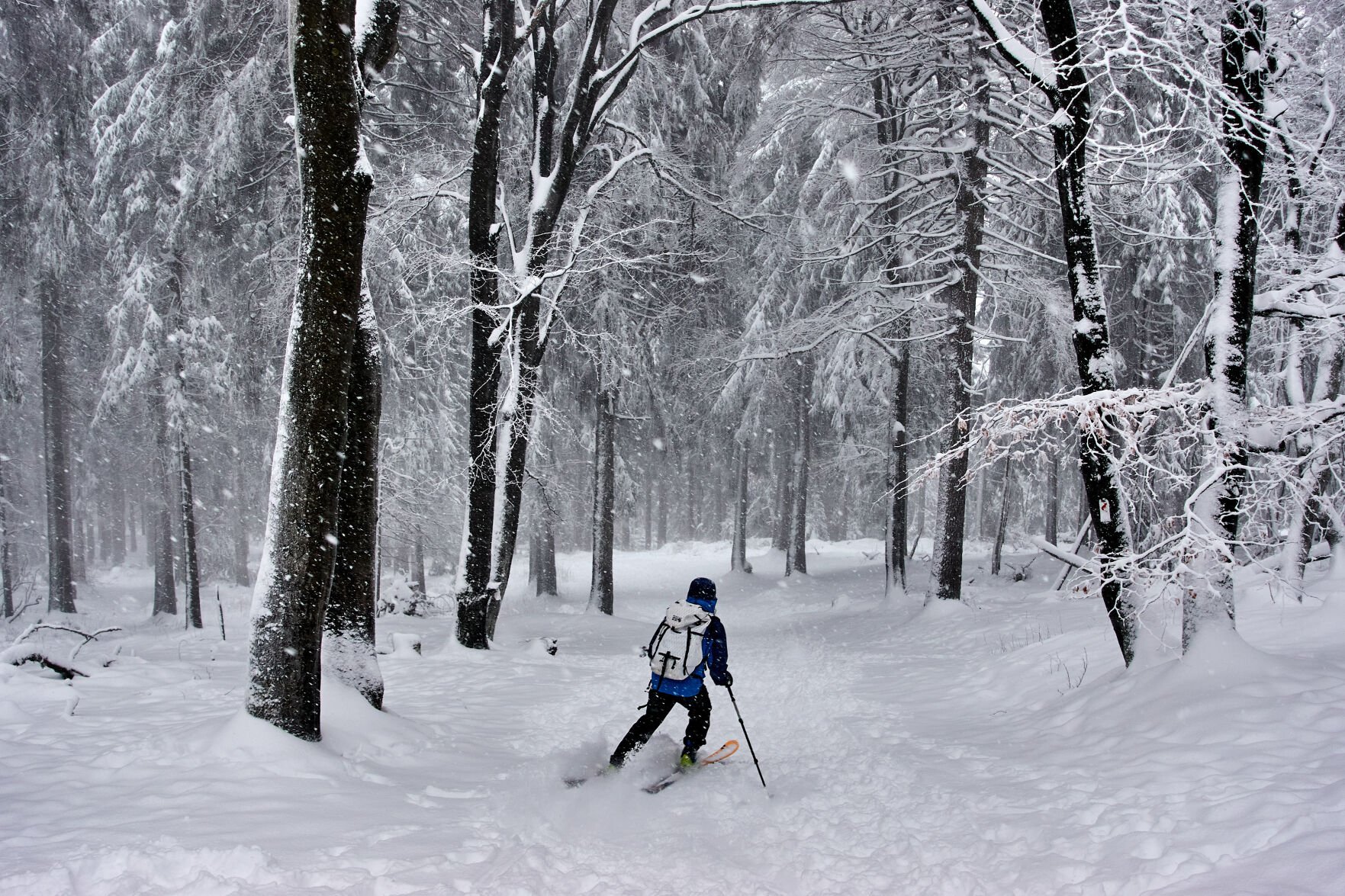 Germany Weather | Nation/World | gazettextra.com