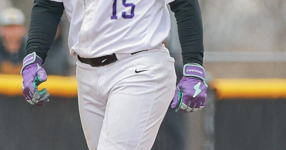 Division III Baseball: Scolan leads the Warhawk way | College ...