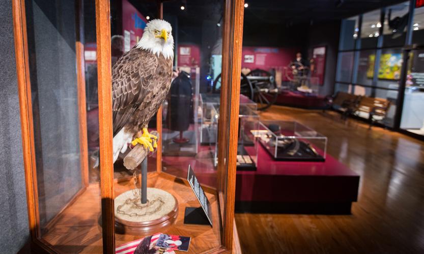 Janesville, Beloit WWII veterans among those featured as Wisconsin ...