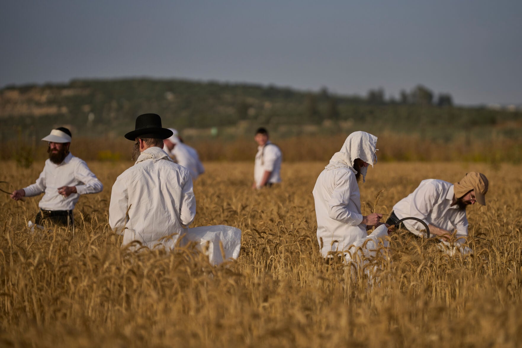 Mideast Israel Wheat | Nation/World | gazettextra.com