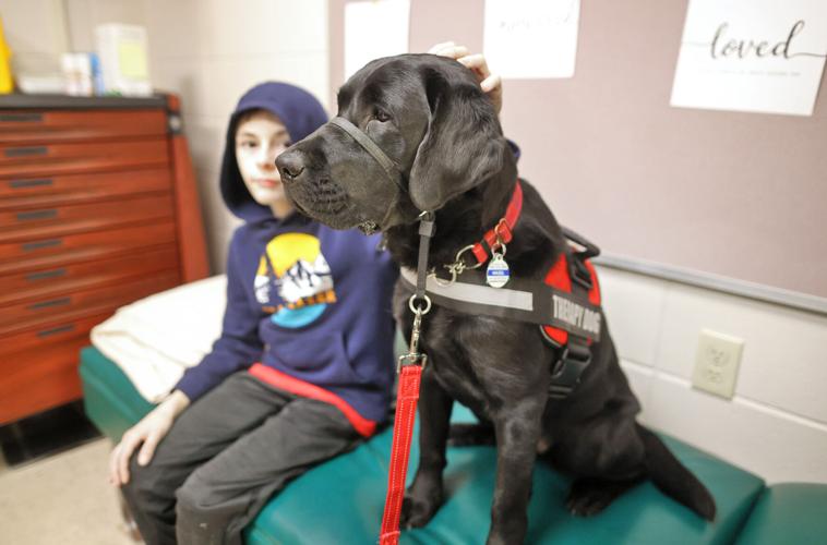 Northside Intermediate School in Milton adds therapy dog to staff ...