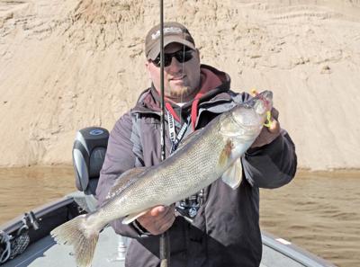 Ted Peck: Female walleyes slow after spawn | Archives | gazettextra.com