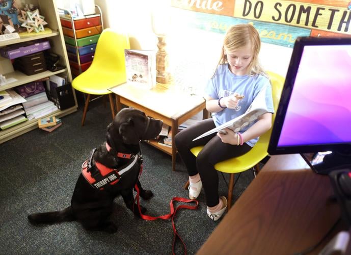 Northside Intermediate School in Milton adds therapy dog to staff ...
