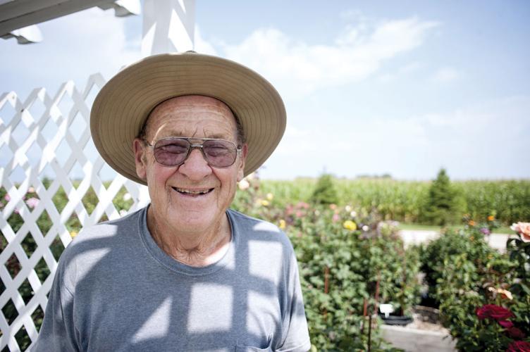 Metaphor for life: Stop and smell the roses, really | Archives ...