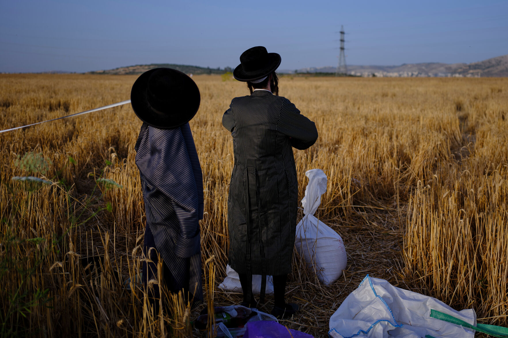 Mideast Israel Wheat | Nation/World | gazettextra.com