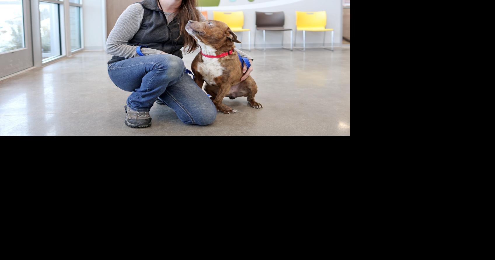 Volunteer of the Week: Ashley Phoenix walks, socializes dogs at humane ...