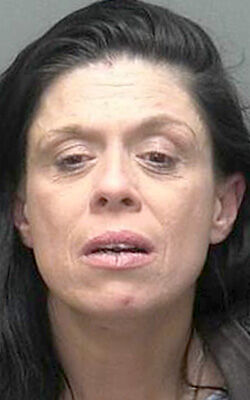 Brodhead woman accused of biting Janesville police officer during ...