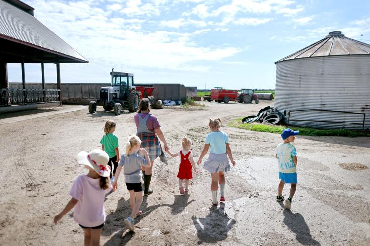 Sisters establish children's ag camp at fifth-generation Daluge Farm ...