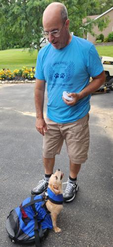 'The best ending possible.' Canine Angels for Heaven hospice sanctuary ...