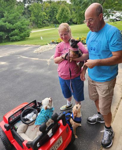 'The best ending possible.' Canine Angels for Heaven hospice sanctuary ...