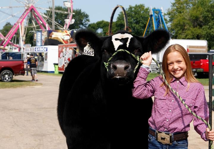 Meat Animal Sale. Rock County 4-H Fair auction rewards youth for ...