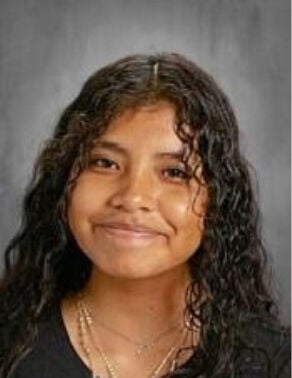Janesville police: Teen runaways located 'safe and unharmed' in Florida ...