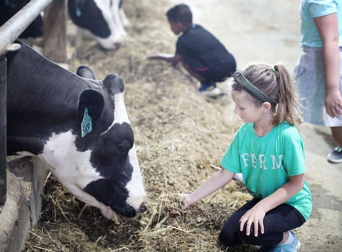 Sisters establish children's ag camp at fifth-generation Daluge Farm ...