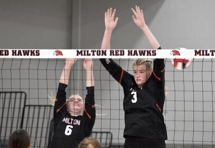 Volleyball: Red Hawks climb back in third set to sweep Goslings ...