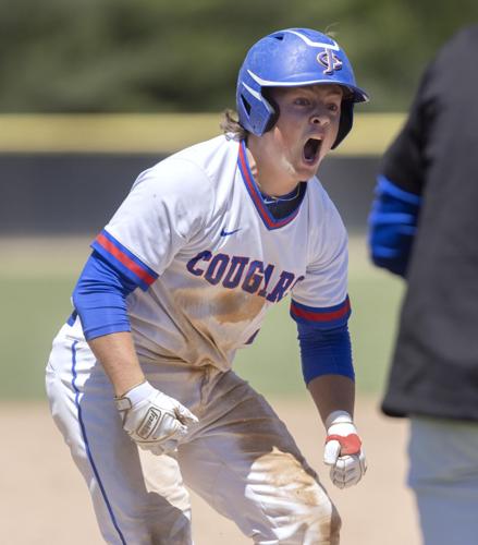 Plenty to celebrate as Janesville Craig advances to baseball sectionals ...