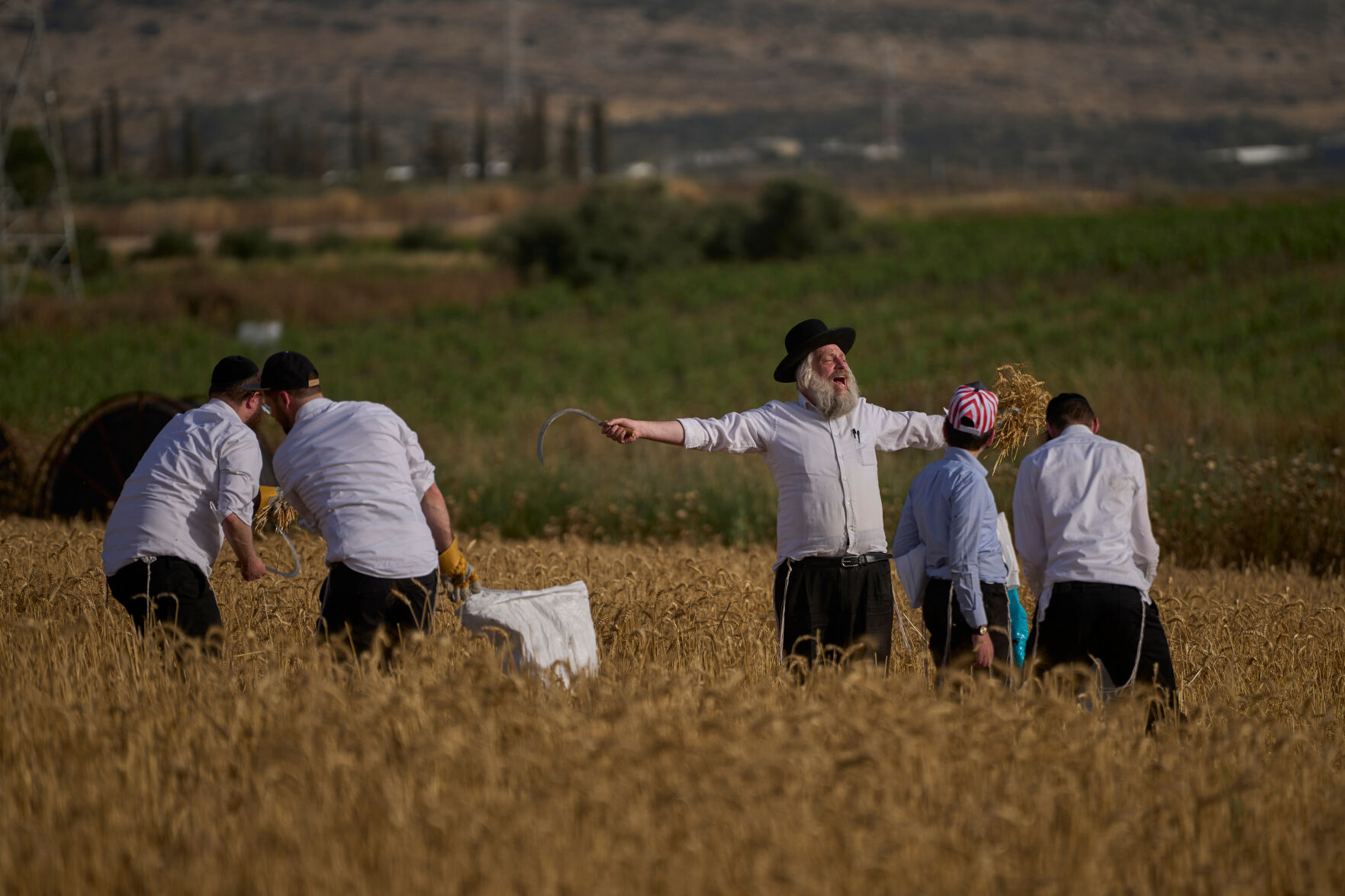 Mideast Israel Wheat | Nation/World | gazettextra.com