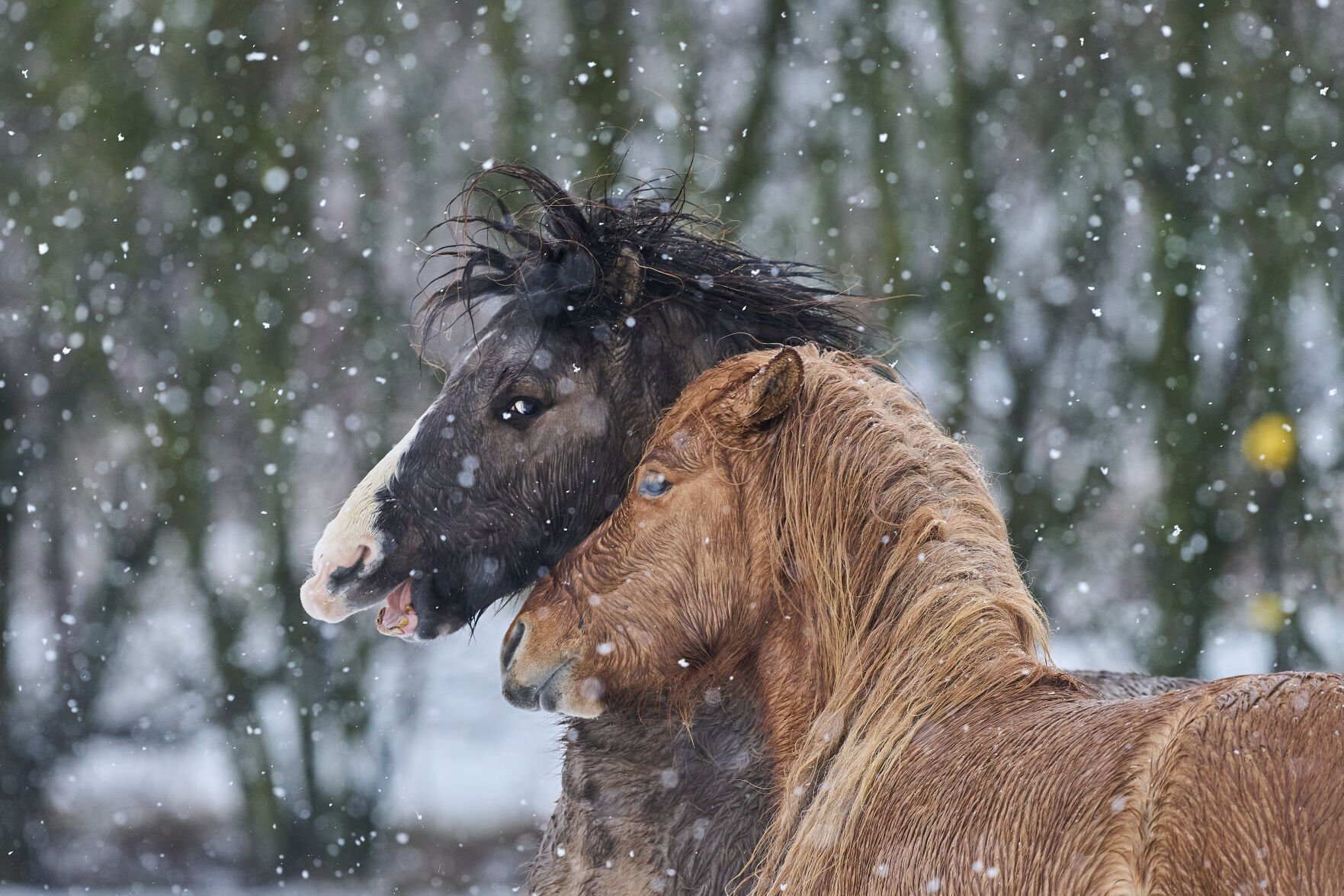 Germany Weather | Nation/World | gazettextra.com
