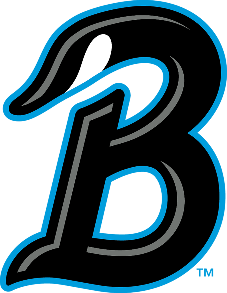 Beloit Sky Carp drop series opener at Peoria in extras 6-5 | Local ...