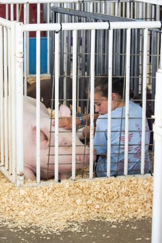 Photo gallery: 2023 Rock County Fair | Local News | gazettextra.com